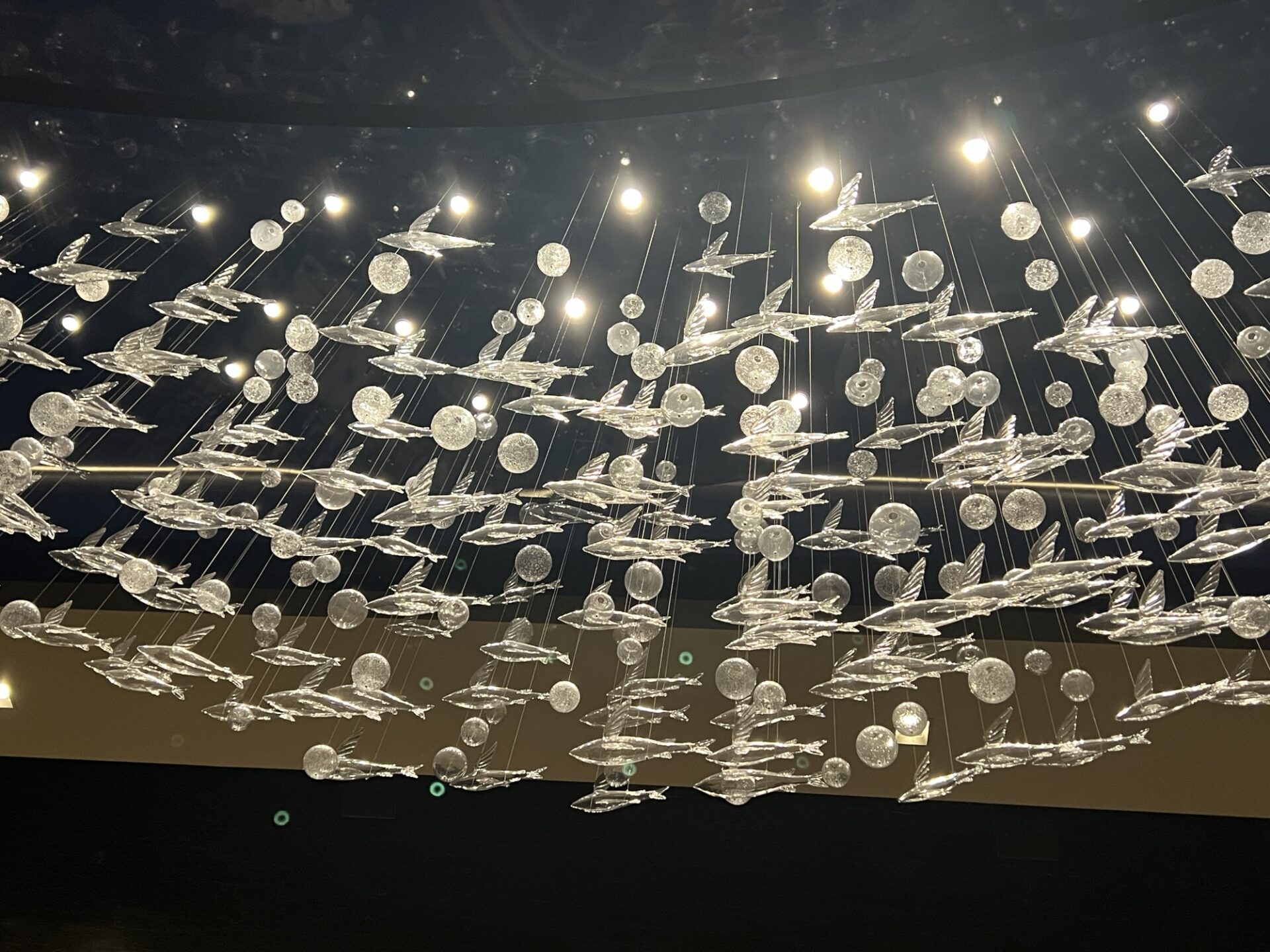 Flying Fish Dining Review | Disney's BoardWalk