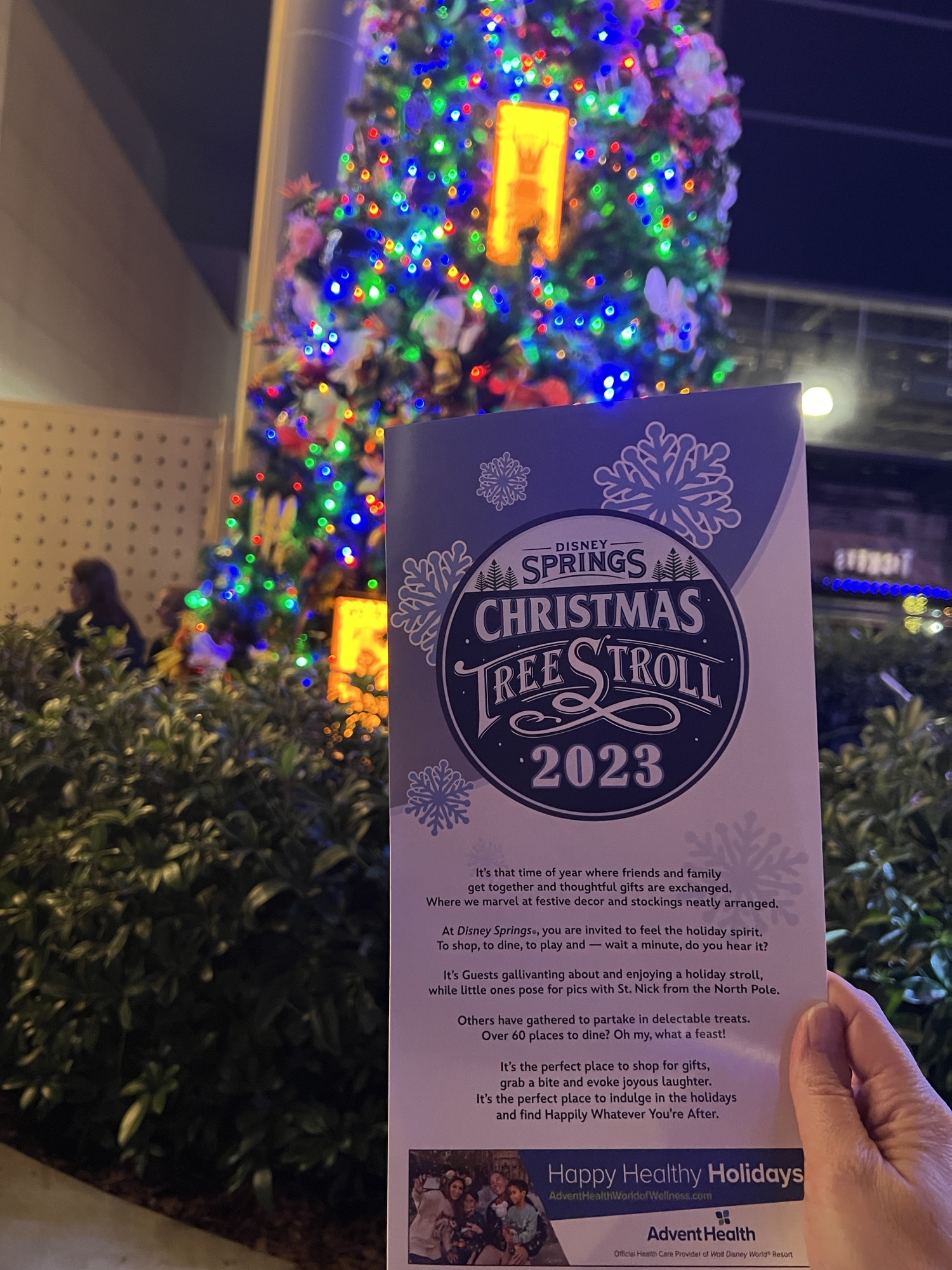 All About the Disney Springs Christmas Tree Stroll for 2024