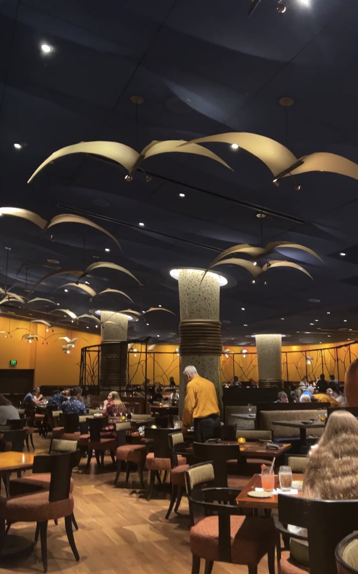 Dinner at Jiko: A Disney Dining Review