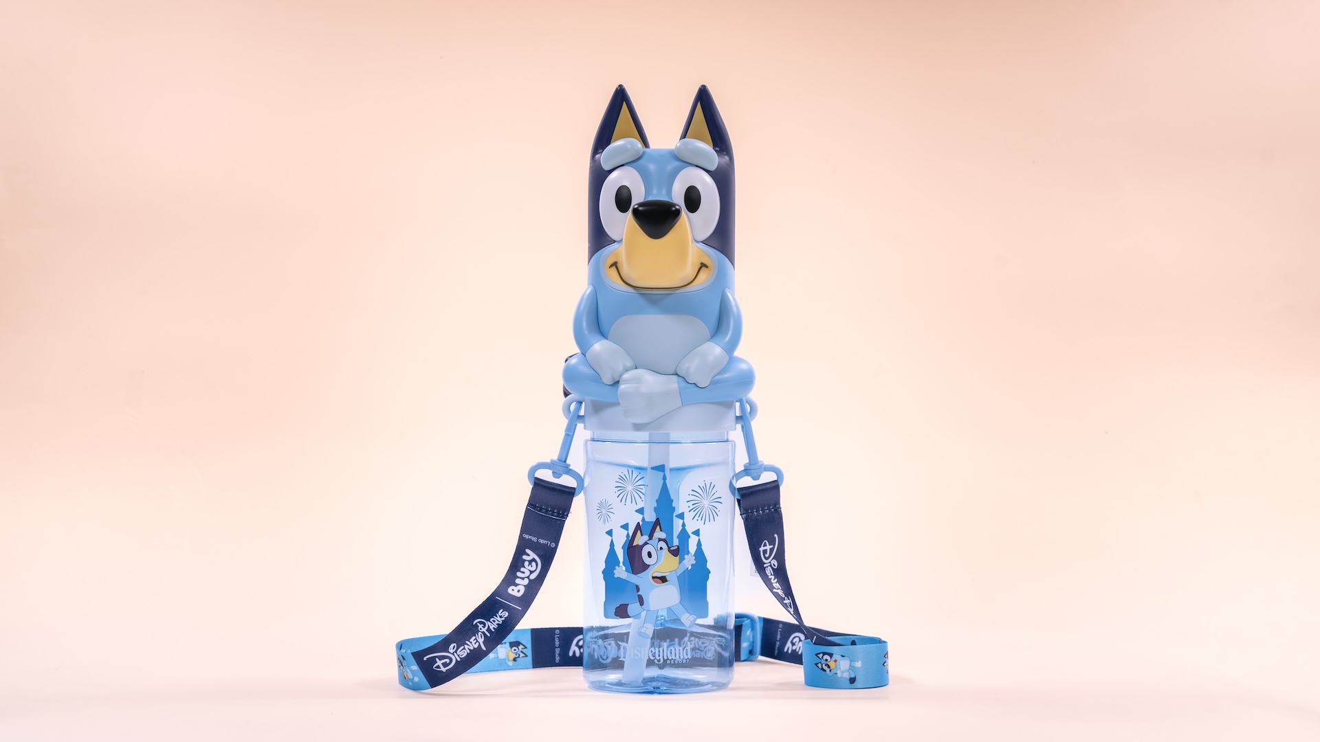 All the Disney Popcorn Buckets & Drink Sippers for 2026